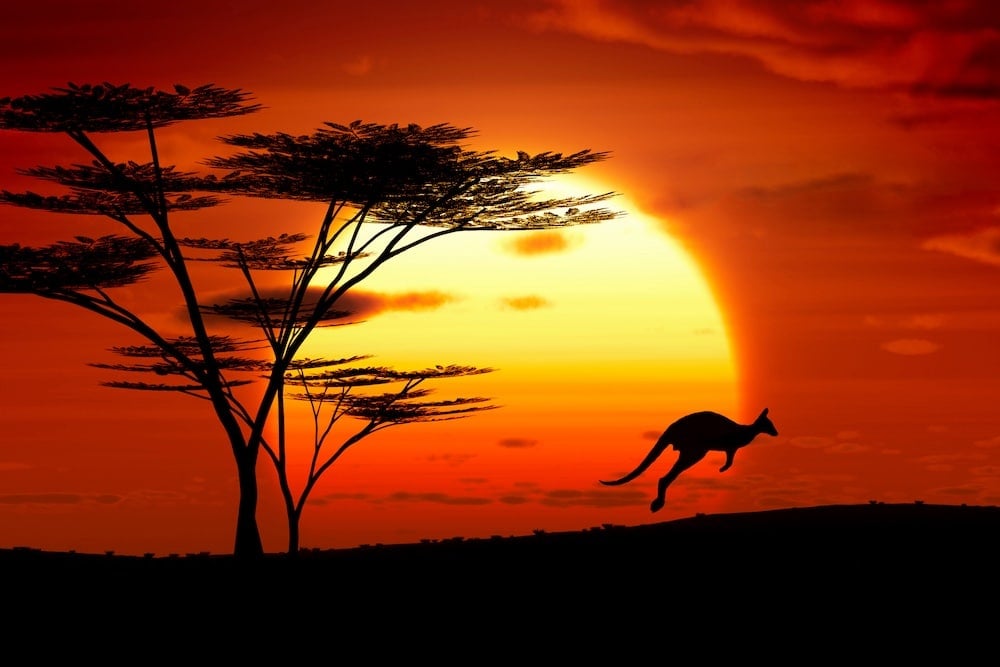 AustralianSuper names new CIO